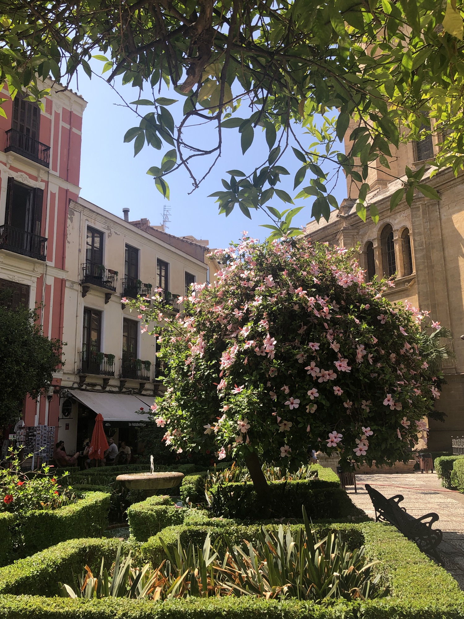 Parks in Málaga – Travelwithbodien
