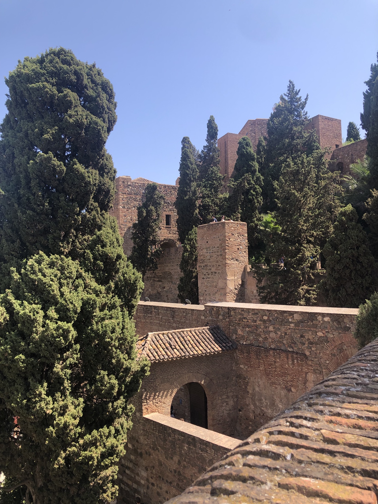 A week in Málaga – Travelwithbodien