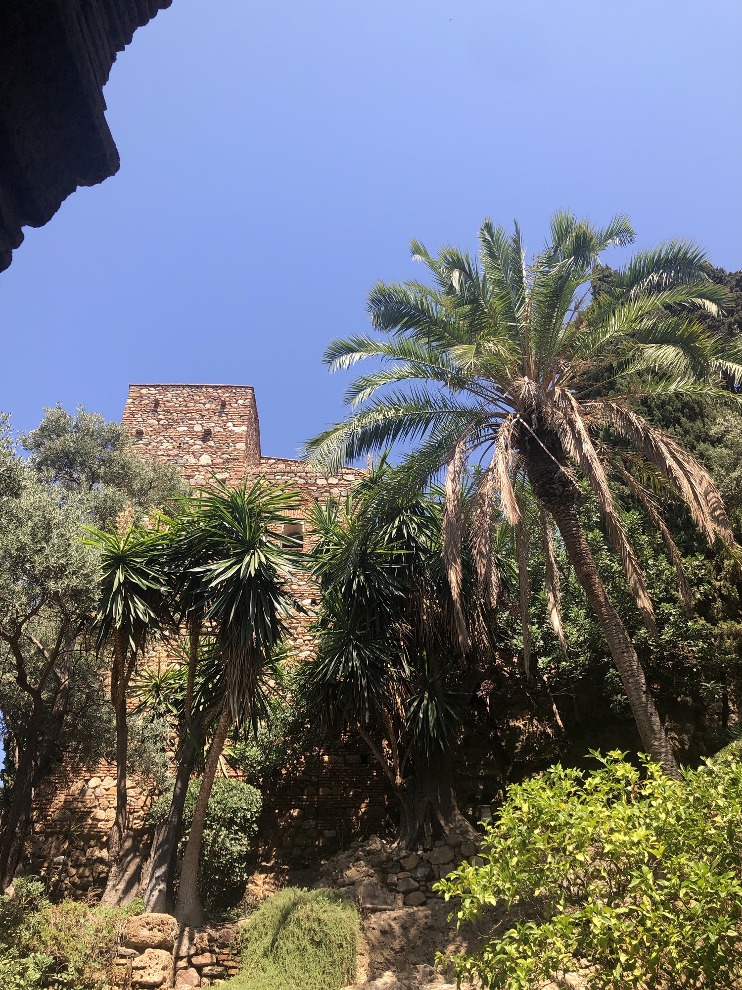 A week in Málaga – Travelwithbodien